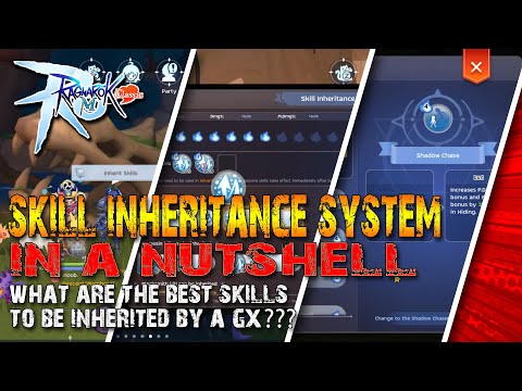 Ragnarok M: Classic Upcoming Skill Inheritance System, How it Works & Etc.