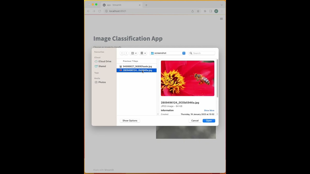 Image classification app
