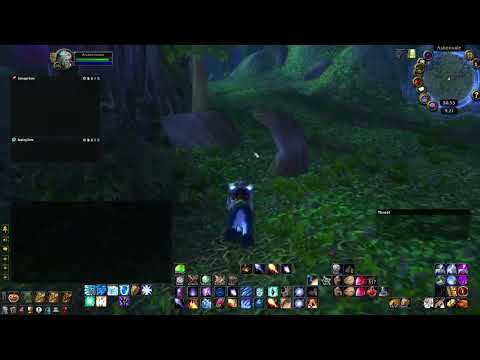 WoW Classic Era: How to get to Shael'dryn for Raene's Cleansing