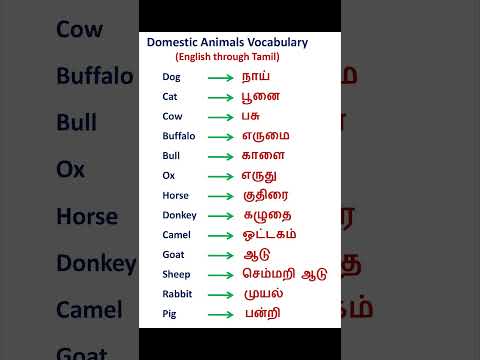Domestic Animals Vocabulary English through Tamil !! #learnenglish #englishtotamil #tamiltoenglish