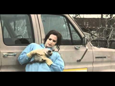 Sunshine Cleaning: A Kitten Under The Bed (Exclusive) [Trailer]