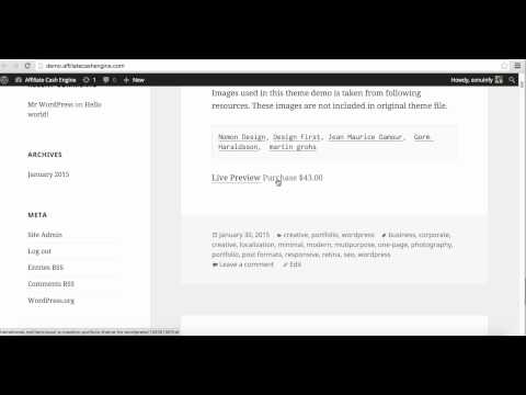 ACE Theme