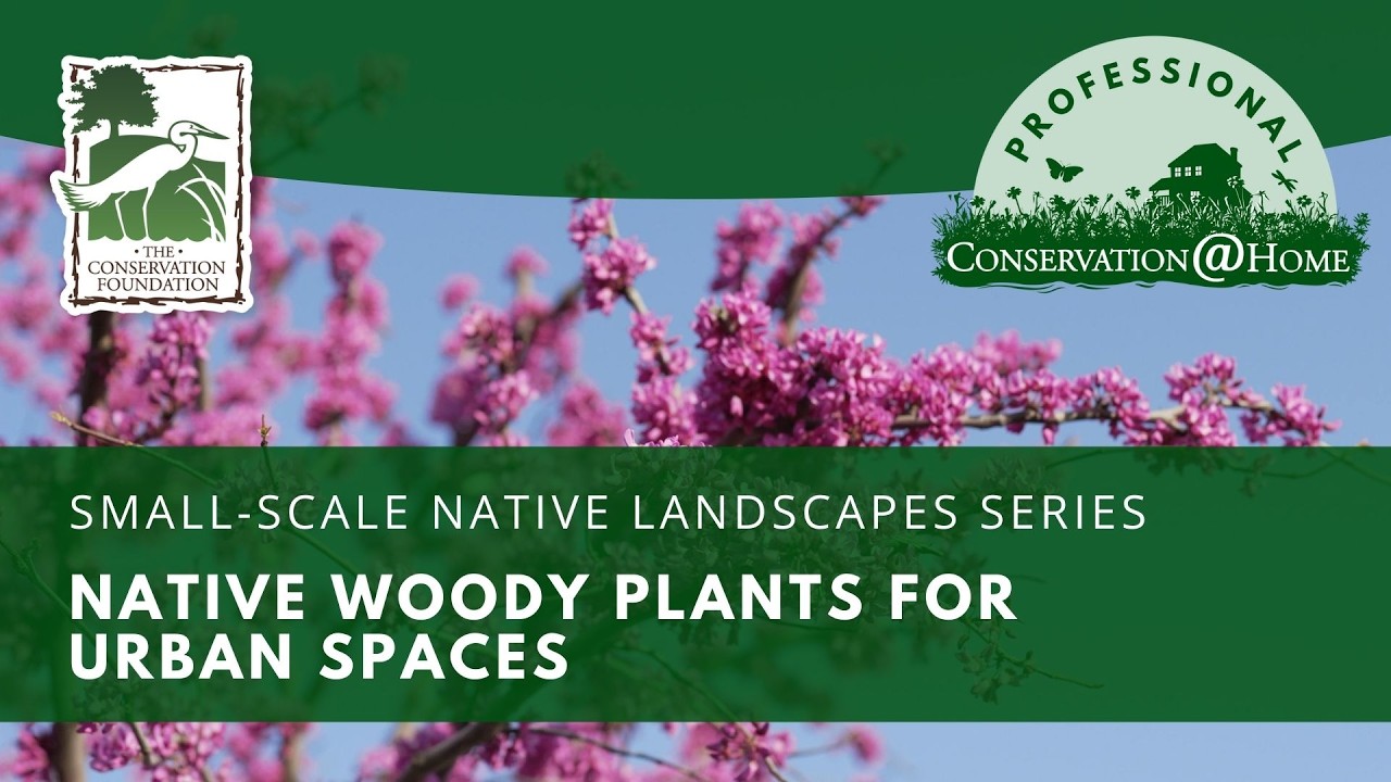 Native Woody Plants for Urban Spaces  |  Conservation@Home Professional Training
