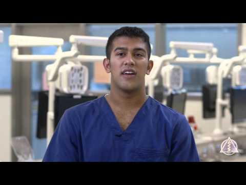 SIU School of Dental Medicine: What are the statistics on incoming students?