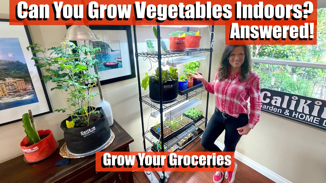 Can You Grow Vegetables Indoors? Answered! 🍅🥬 / Grow Your Groceries