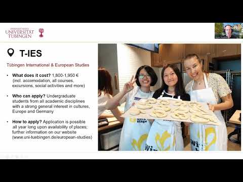 What is T-IES and TÜ-VIP?