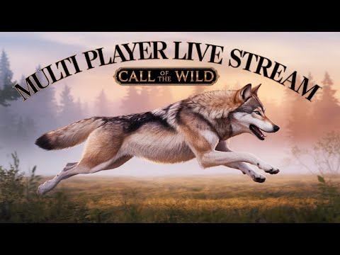 THE HUNTER - CALL OF THE WILD - LIVE MULTI PLAYER STREAM - RANDOM MAP SELECTION - DIAMOND CHALLENGE