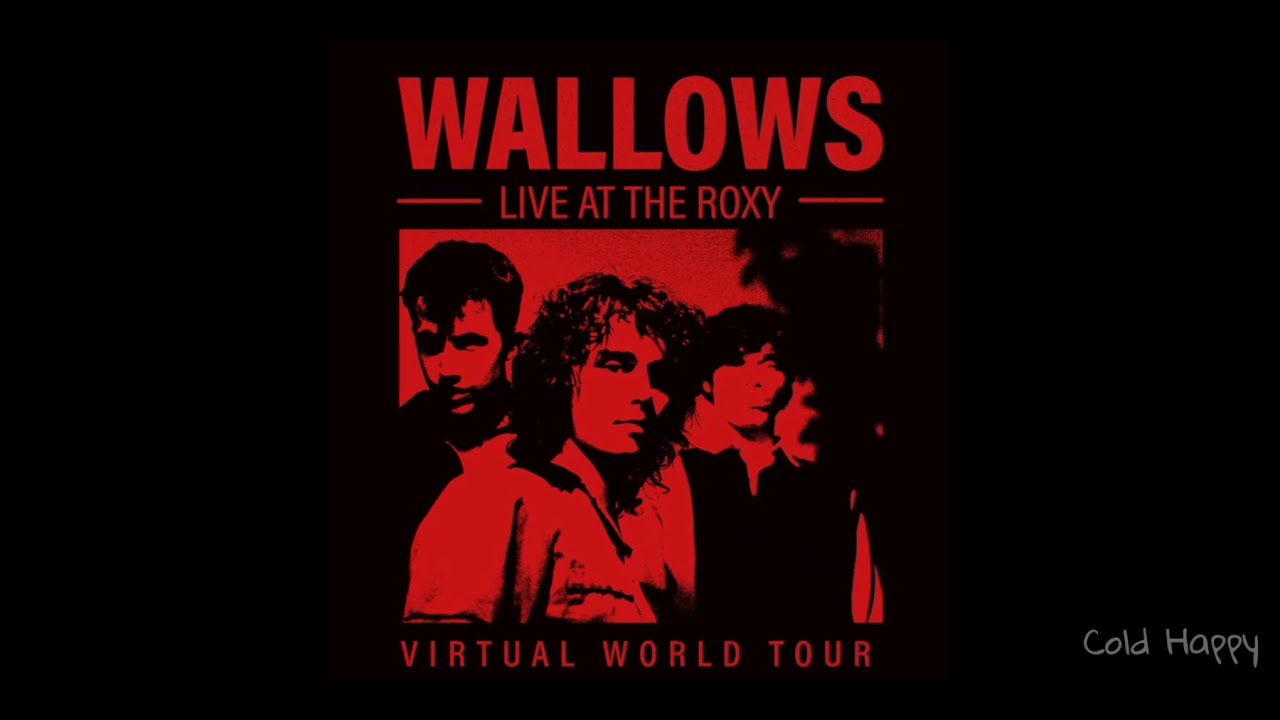 Wallows - Ground // Live At The Roxy