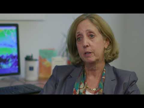 Mount Sinai Spotlight: Ozone and Air Pollution