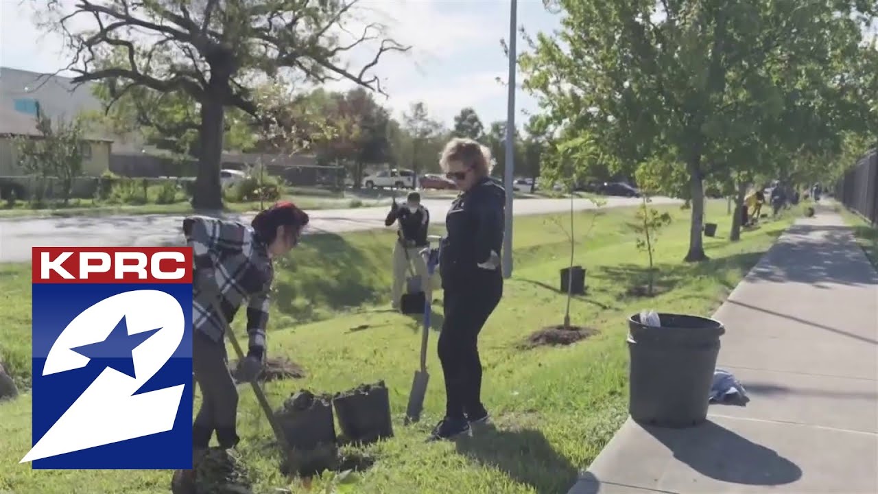 Trees for Houston: Enhancing Community Green Spaces Since 1983