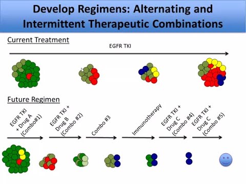 Targeting Cancer Pathways: Tumor Resistance