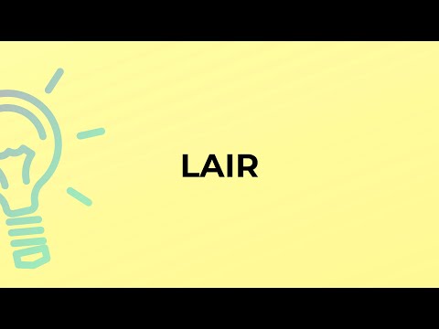 What is the meaning of the word LAIR?