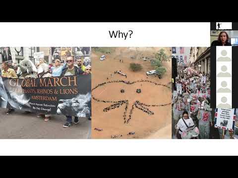 Animals, People and the Planet – increasing wellbeing for all with IFAW's Beth Allgood