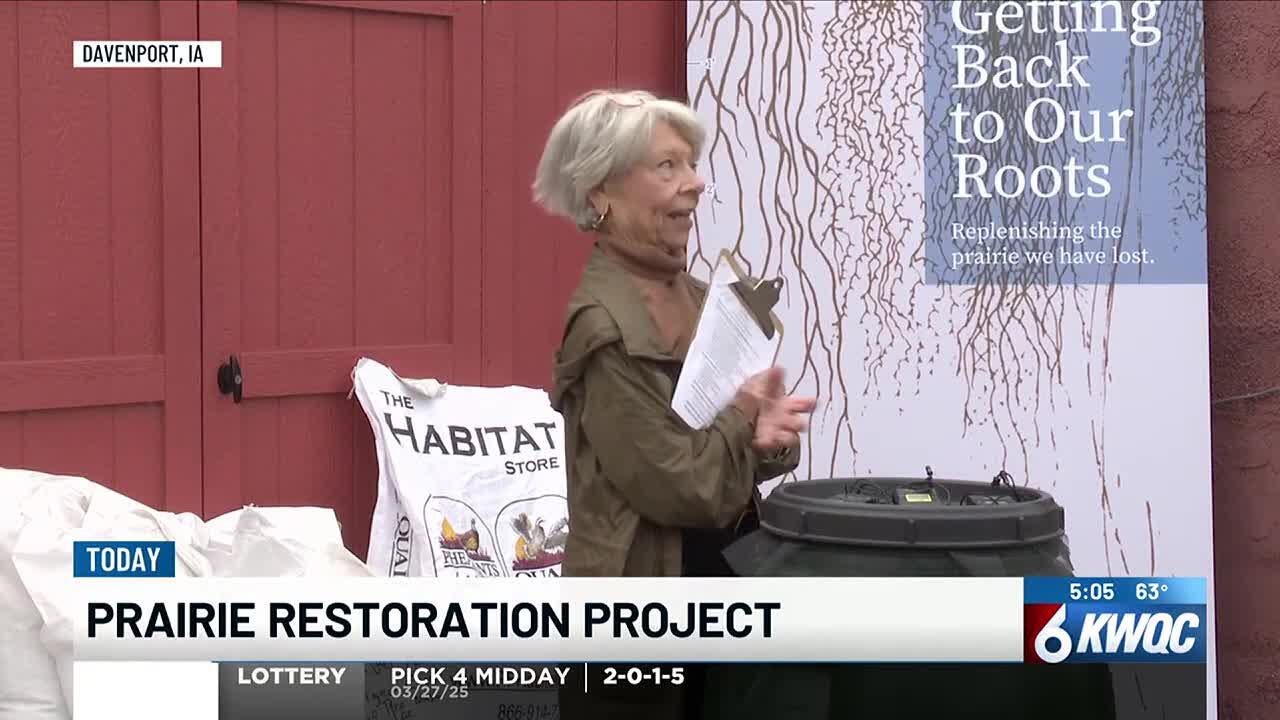 Getting Back to our Roots