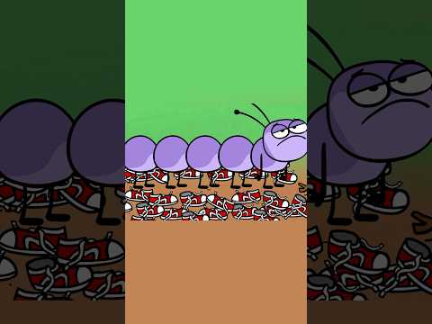 The Sneakers Fit So Well - Hooray Kids Songs #nurseryrhymes #childrensmusic #centipede #animalsong