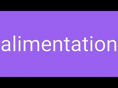 Alimentation Definition & Meaning