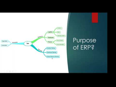 What is SAP? Urdu / Hindi