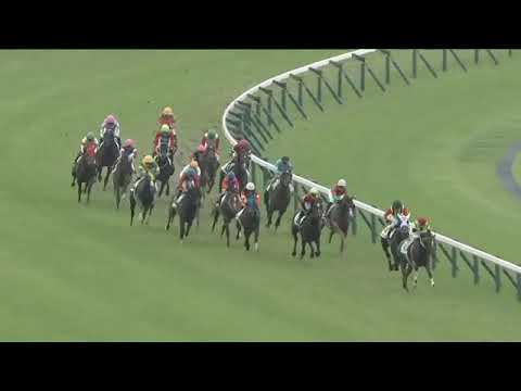 2025.06.08 Allowance (JPN) - King no Jo