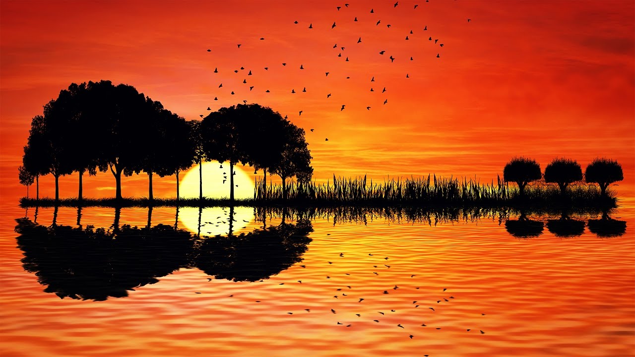 Relaxing Guitar Music - Acoustic - Calming Music for Stress Relief, Studying