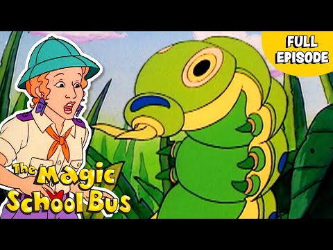 Butterfly and the Bog Beast | Full Episode | The Magic School Bus