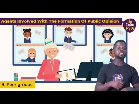 Public Opinion | ExamPadi | Government | SS2