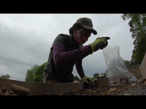 Buried History: First Baptist Church, Preview