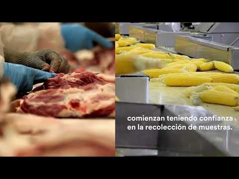 Environmental Scrub Sampler 3M | Rodin SRL