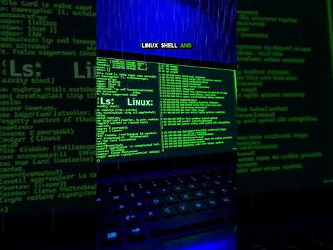 Run Linux Commands in VS Code in SECONDS!
