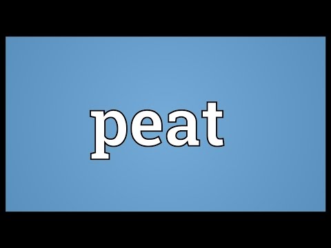 Peat Meaning