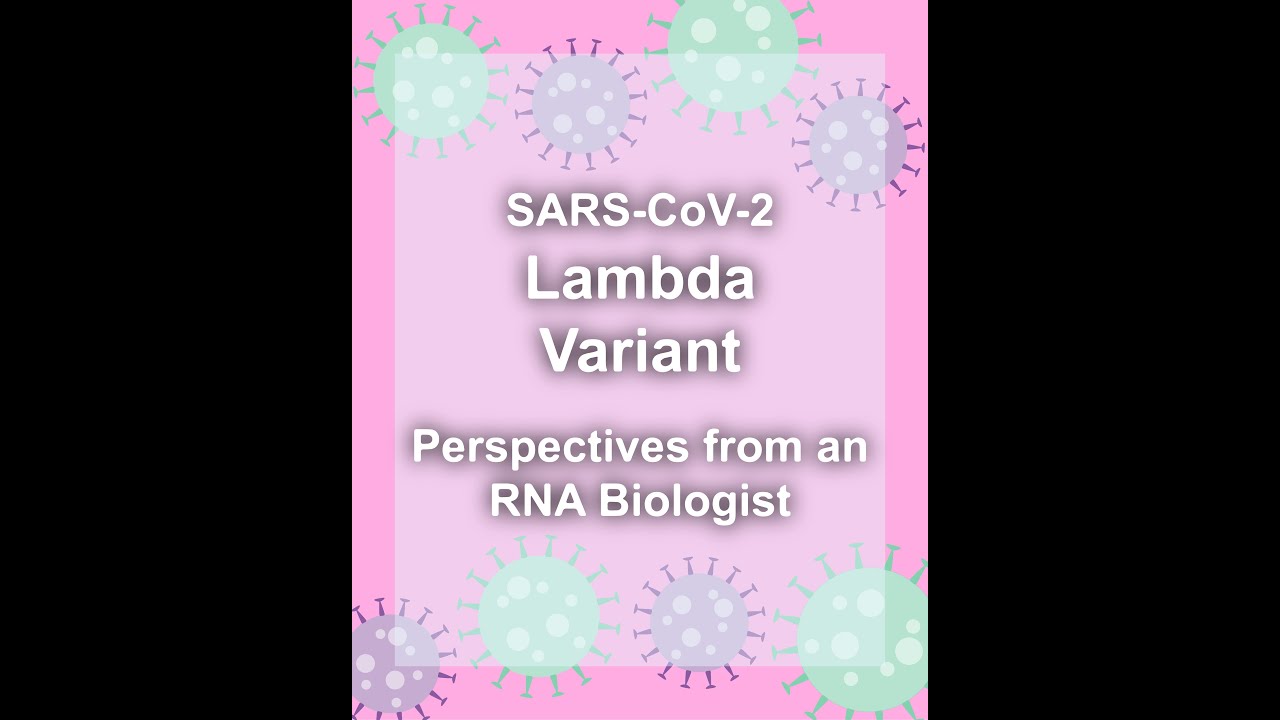 SARS-CoV-2 Lambda Variant Explained