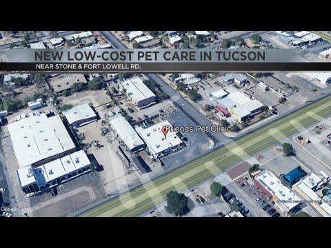 New clinic supports PACC pets with low-cost services