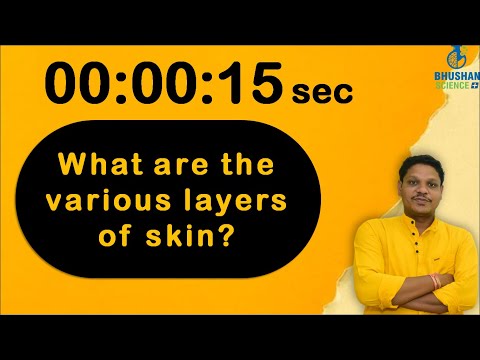 #shorts Video 3- What are the various layers of skin? Bhushan Science