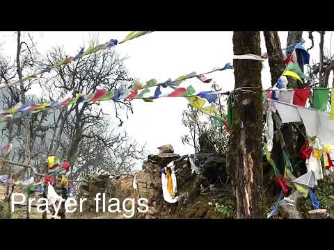 Tibetan and Nepalese Prayer Flags