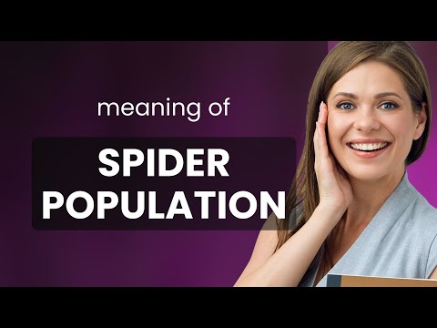 Understanding the Term "Spider Population"