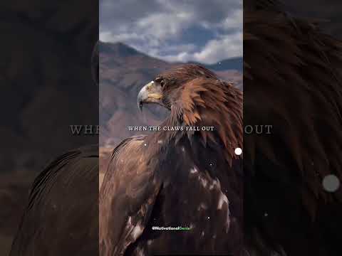 Be Like The Eagle ???? #shorts #entrepreneur #mindset #success #motivation #discipline #mindset