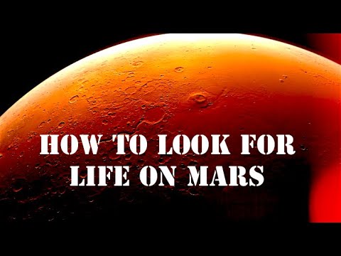 How to find life on Mars - Prof Simon