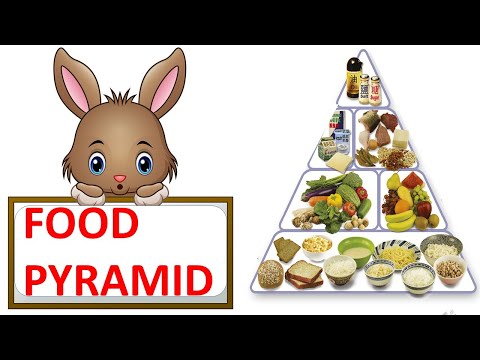 FOOD PYRAMID || HEALTHY DIET || HEALTHY PLATE || SCIENCE VIDEO FOR CHILDREN