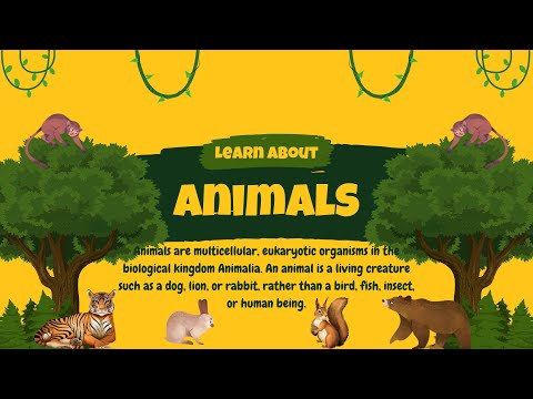 Learn about Animals @kiddonuts8490