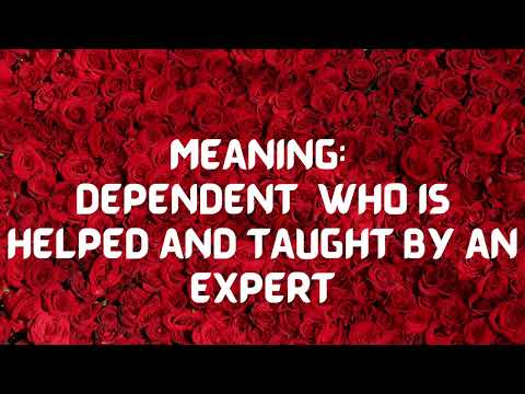 Protégé - Pronunciation & Meaning #pronounce #pronunciation
