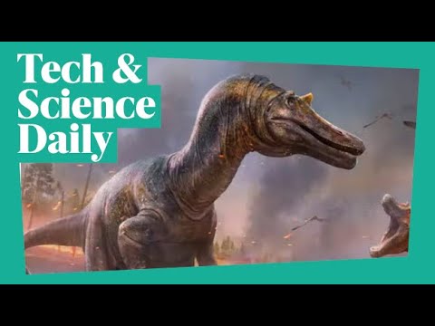 Dinosaurs were warm-blooded, study says...Tech & Science Daily podcast