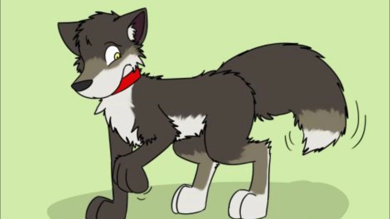 Dog Tf 3