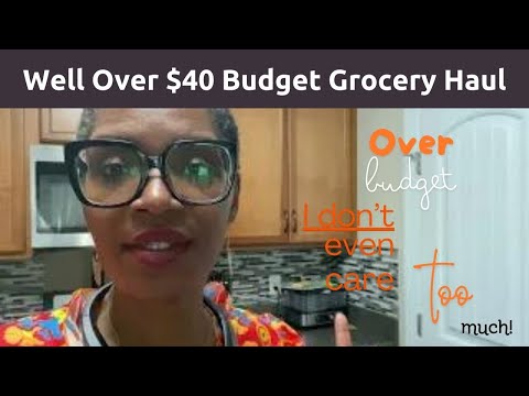 Weekly Grocery Haul || Shopped Food Lion || WAY OVER $40 Budget But Oh Well || What Did I Buy?