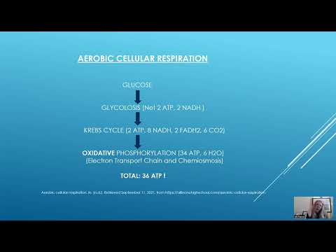 Got O2? The Relevance of Oxygen to Fluid Shifting