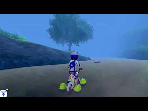 POV: Kyogre approaches you from the fog to say hello