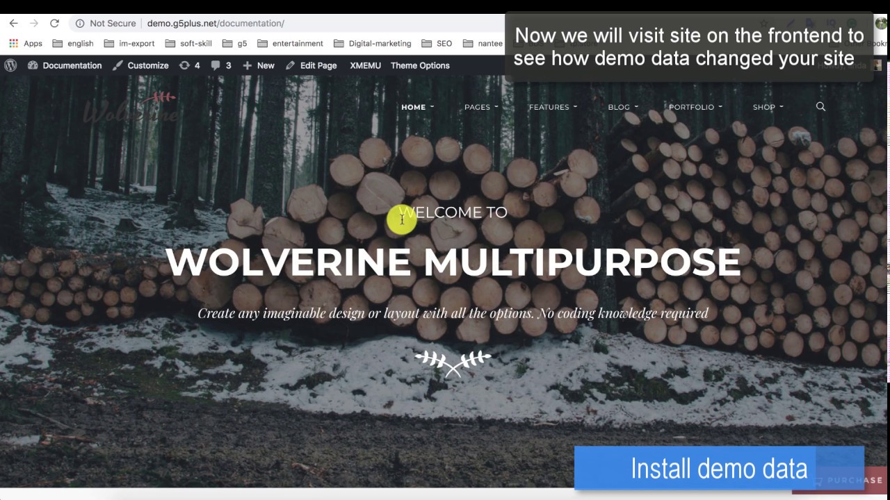 How to install Wolverine WordPress Theme with demo data