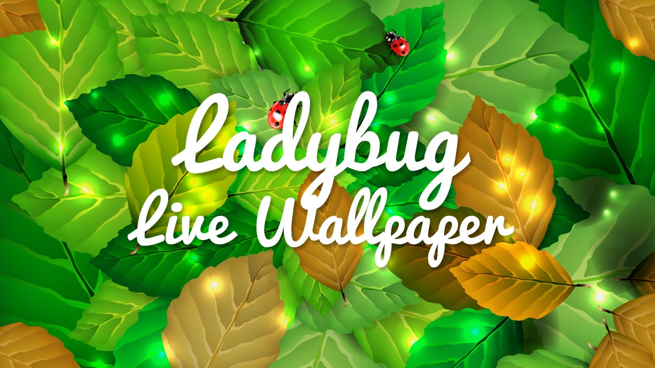 Ladybug Free Live Wallpaper