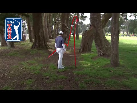 Proof that trees are NOT 90% air