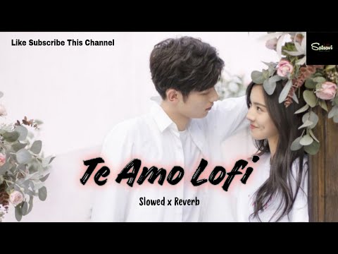 Te Amo lofi Mashup Song| instagram song| love lofi Mix song|