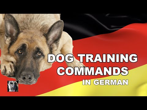 German Dog Training Commands - Robert Cabral Dog Training Video