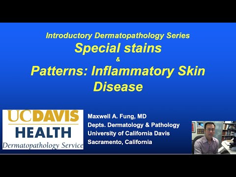DERMATOPATHOLOGY: Special Stains & Patterns of Inflammatory Skin Diseases